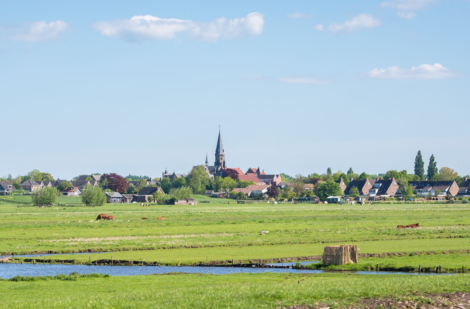 Omnibase - dg DIALOG BGT